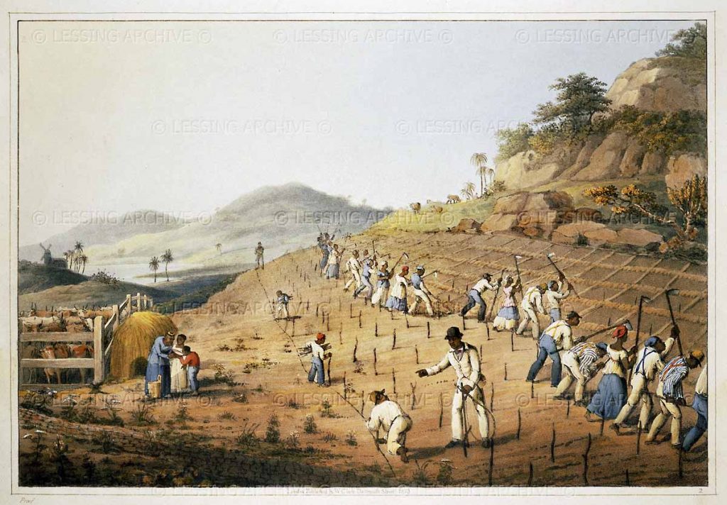 Hidden in Plain Sight: Escaped Slaves In Late Eighteenth- and Early ...