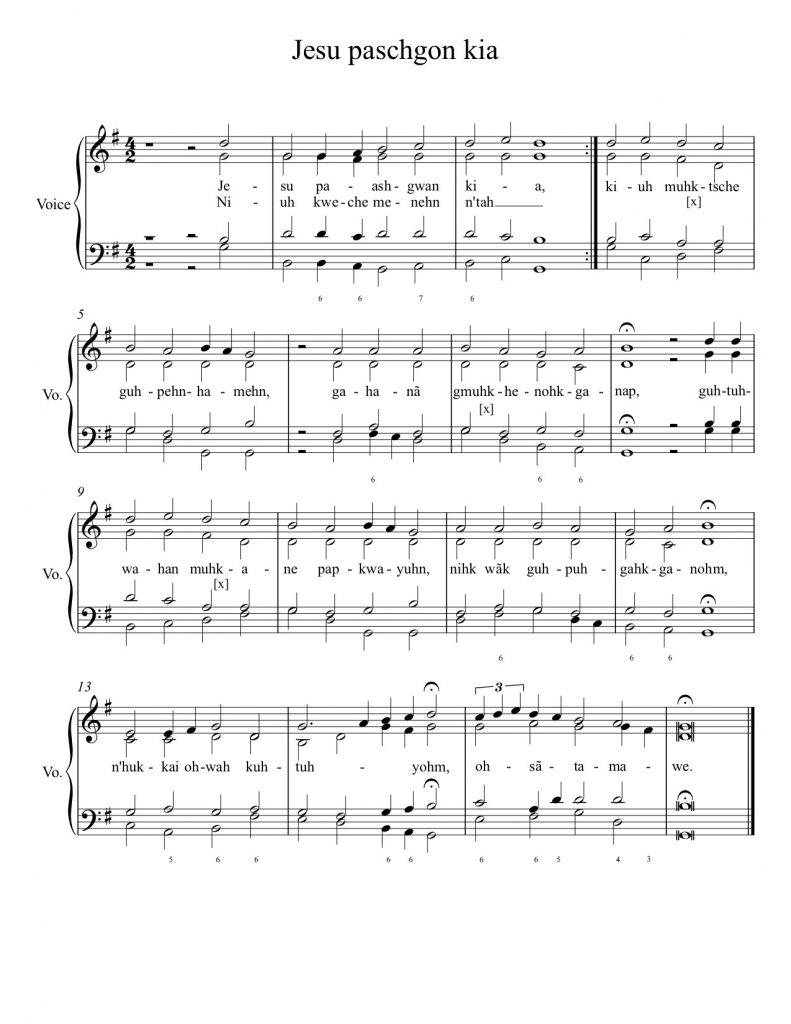 Images, Videos, and Recordings - OI Reader